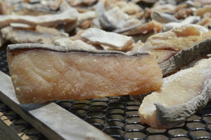 Shark-Reken - The Creole Melting Pot