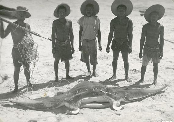 Traditional Harpooning in Seychelles - The Creole Melting Pot