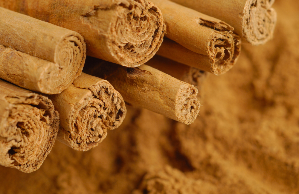 The Cinnamon in Seychelles- A Brief History - The Creole Melting Pot