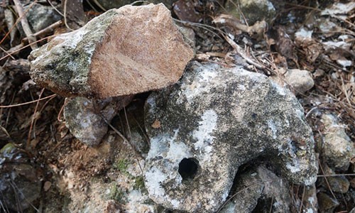 Guano in Seychelles - The Creole Melting Pot