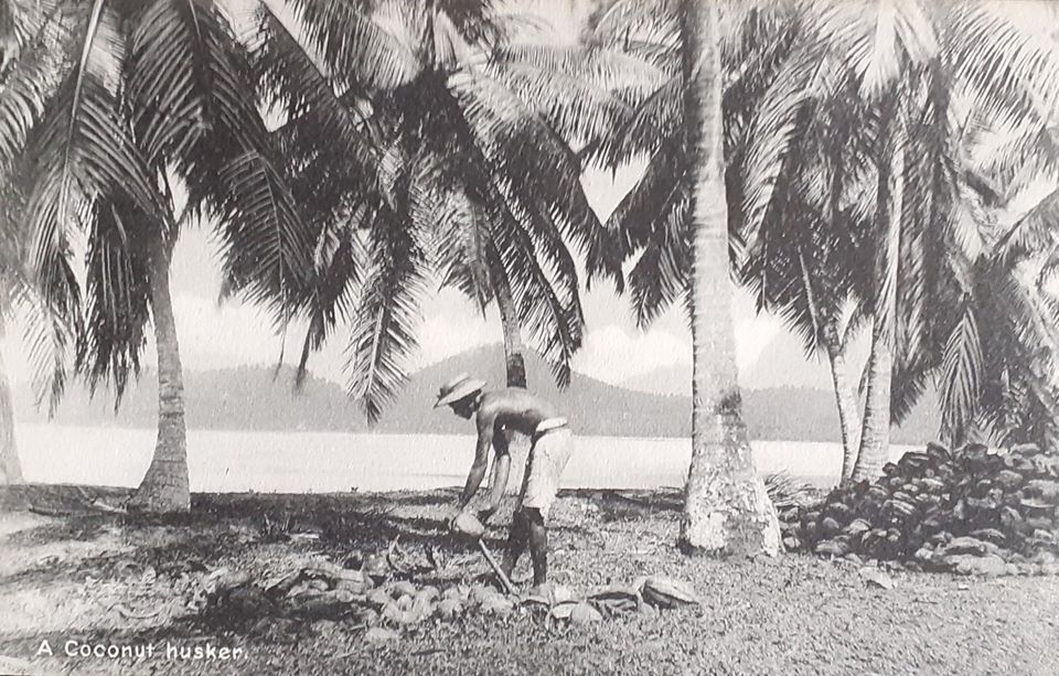 Plantation Life on Silhouette Island in the late 1960 - The Creole ...