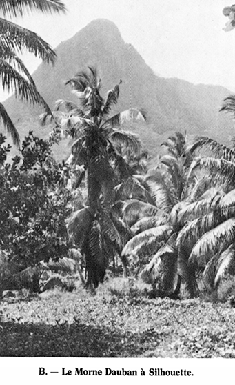Plantation Life on Silhouette Island in the late 1960 - The Creole ...